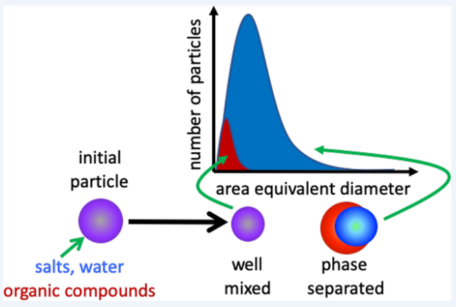 Accounts of Chemical Research | Liquid–Liquid Phase Separation in ...
